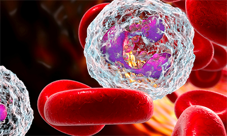 AISCC | AI Single-Cell Clinical Analysis System